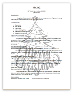 Christmas Special CV Template - Free Report Templates