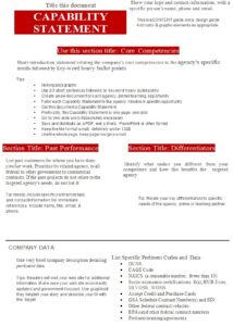 Financial Capability Statement Templates - Free Report Templates