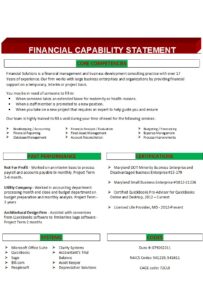 Financial Capability Statement Templates - Free Report Templates